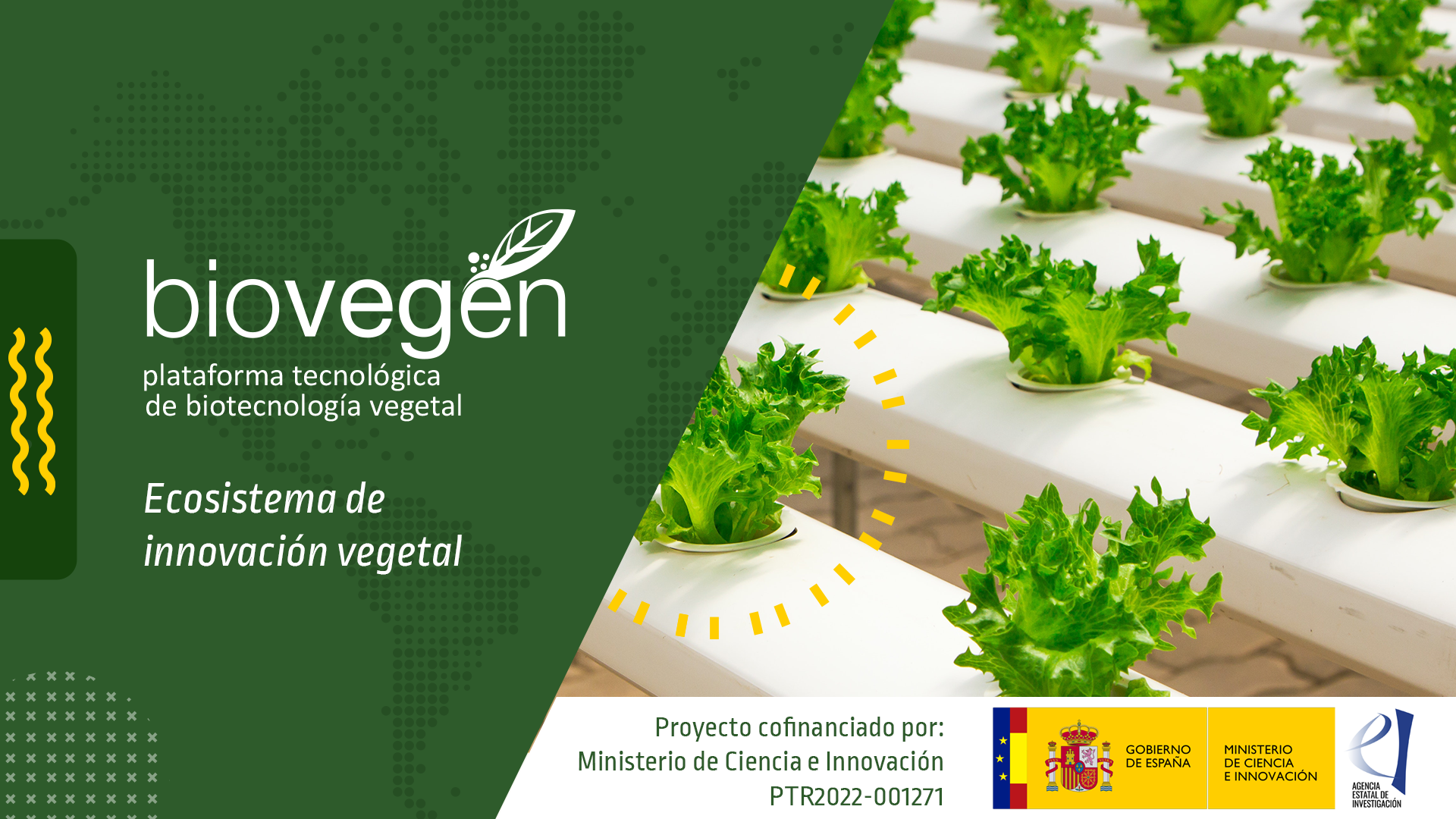 Servicios - Biovegen